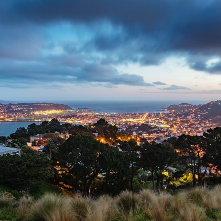 7 Outdoor Adventures in Wellington: Exploring the City’s Natural Beauty ...