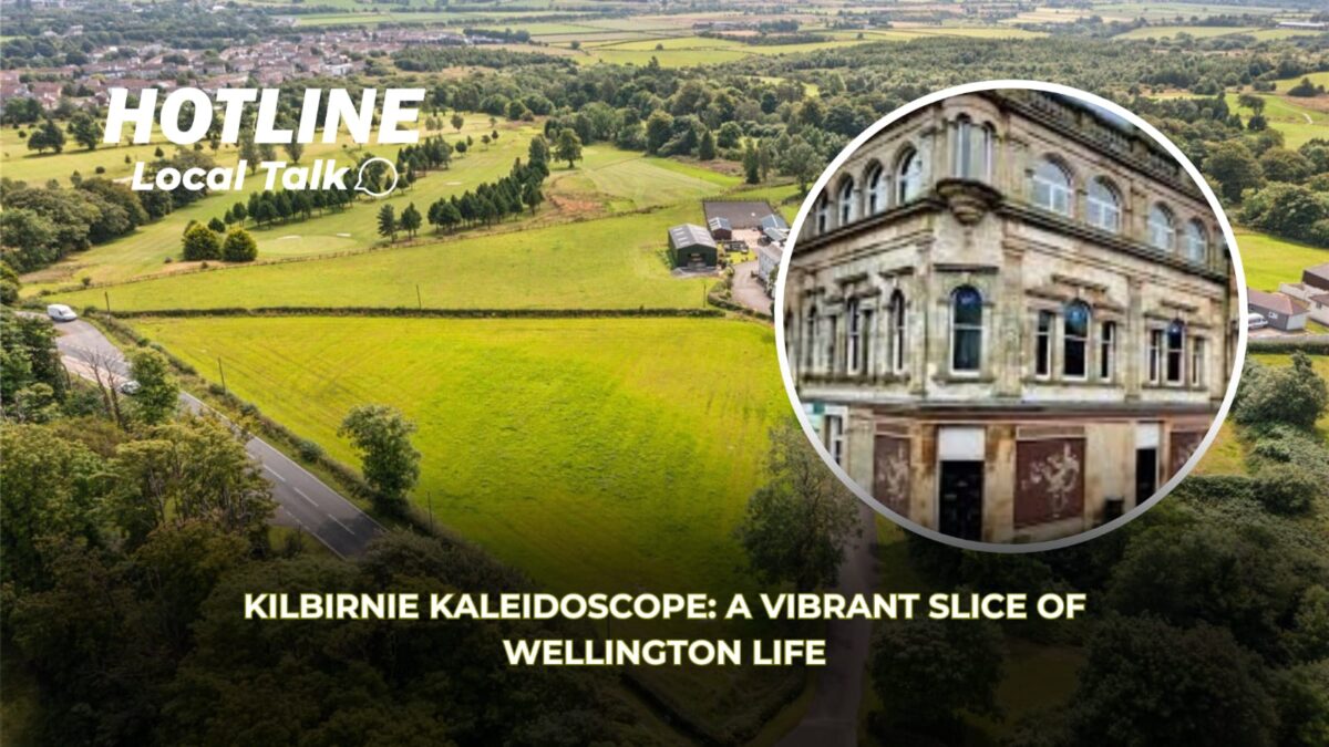 Kilbirnie Kaleidoscope: A Vibrant Slice of Wellington Life - Wellington ...